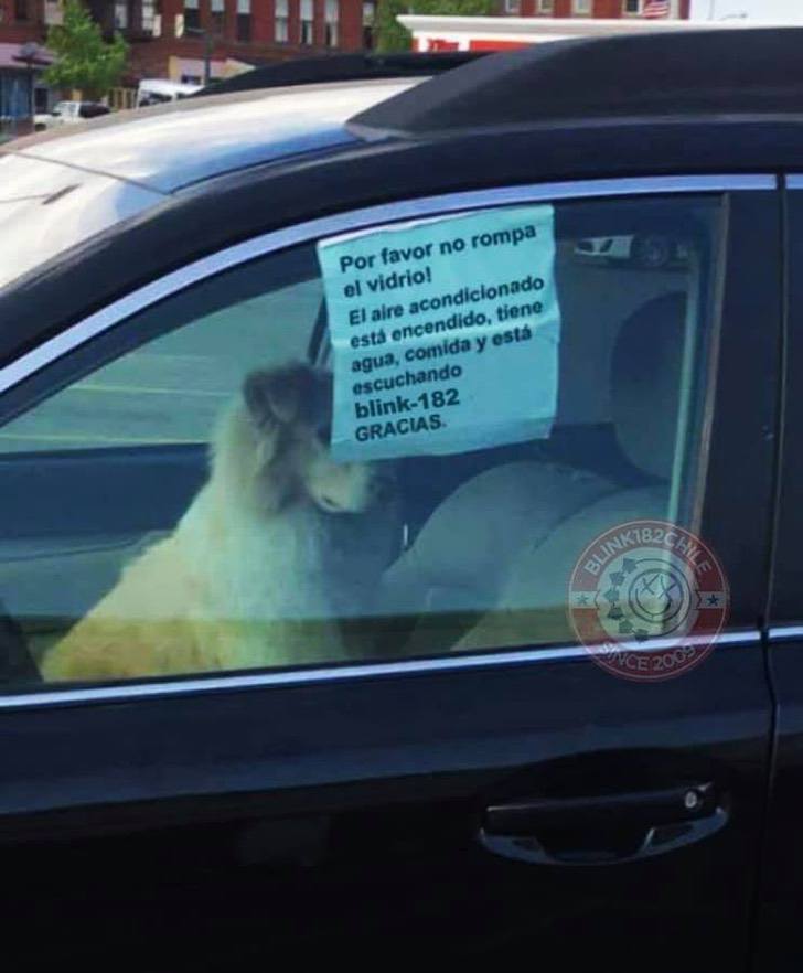 Please Don't Break The Window Know Your Meme | atelier-yuwa.ciao.jp